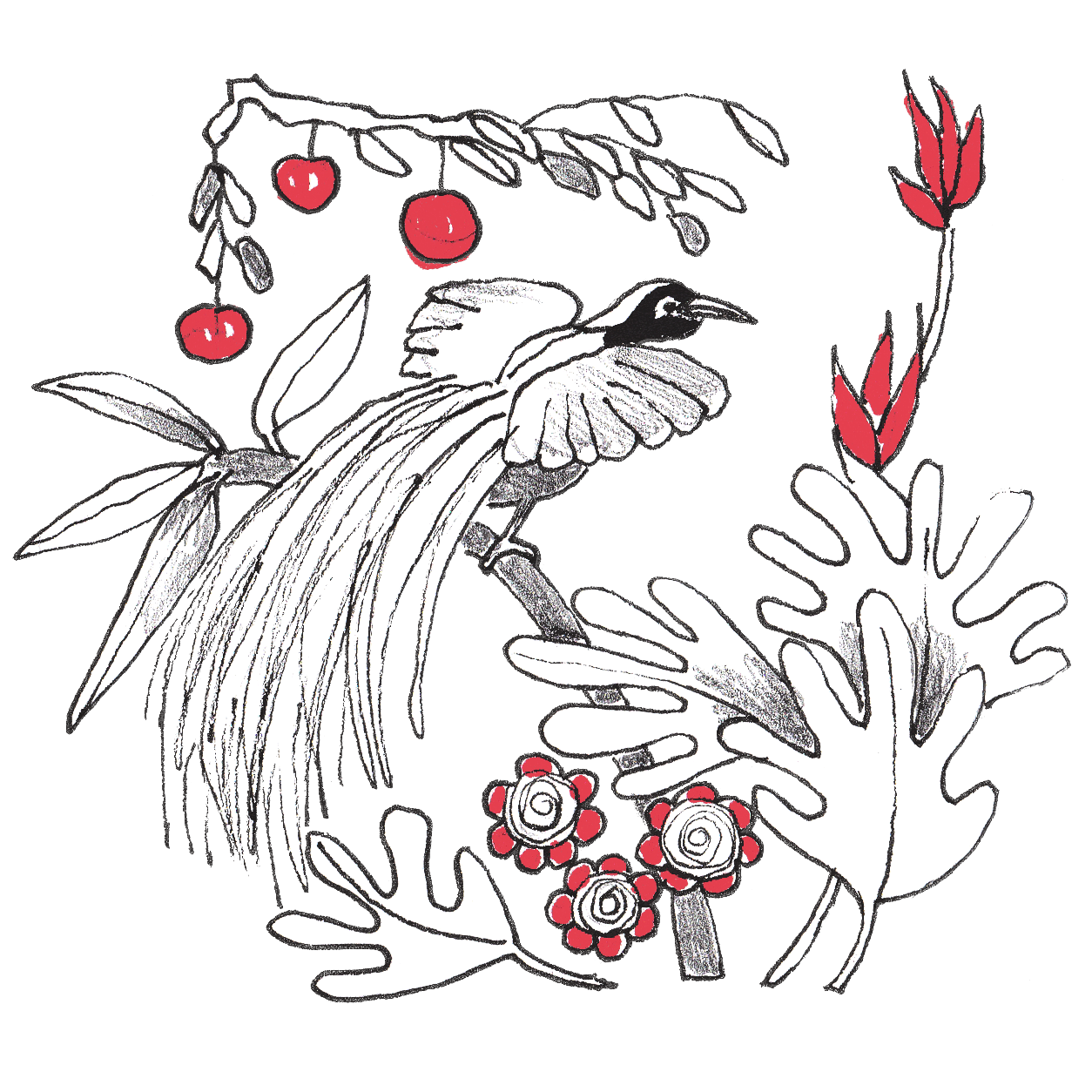 Schepping | ABC van het geloof